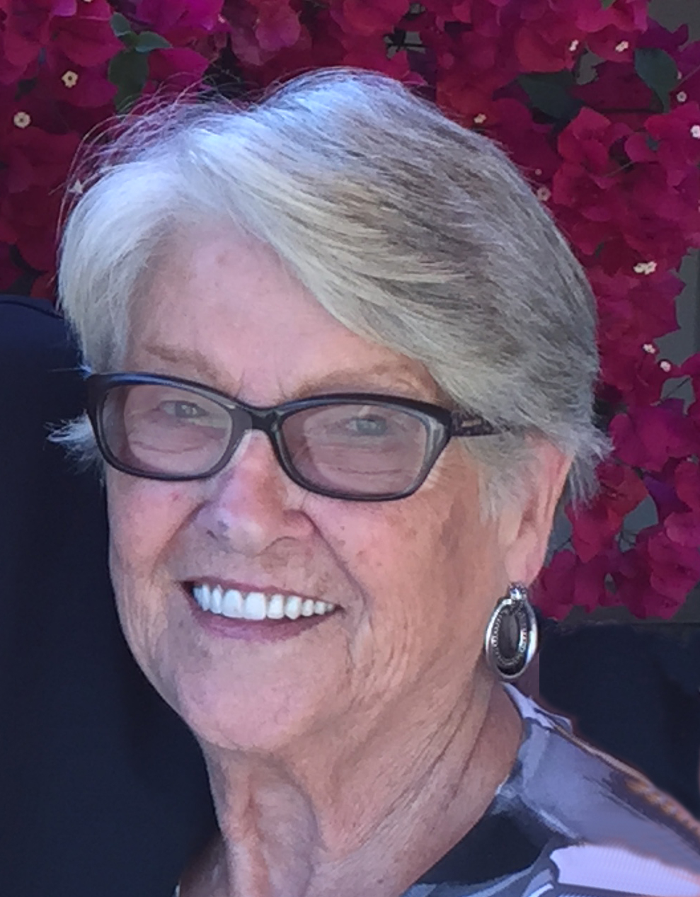 Nancy J. Nold | News, Sports, Jobs - Post Journal